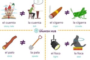 Gramática Española: Cambio de género, cambio de significado – Your ...